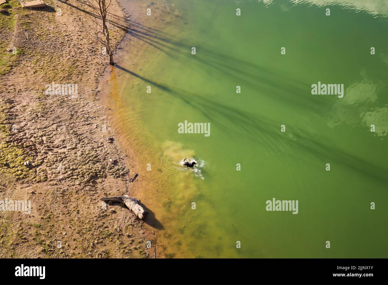 An aerial view of the Bonnie Doon, a small village in Victoria ...