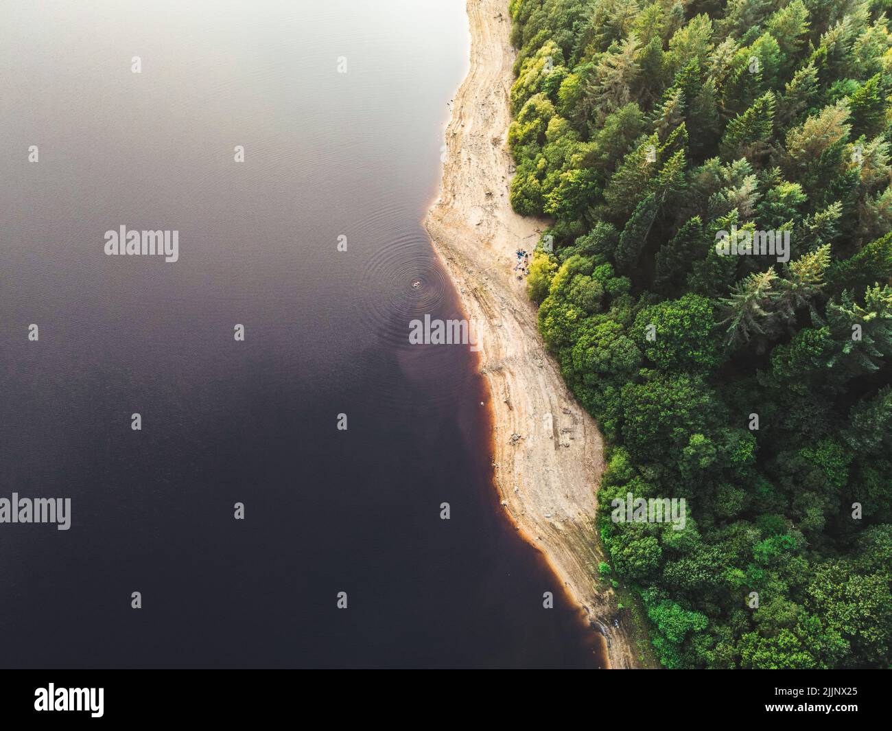 A bird's eye view of green dense forest at Broomhead Reservoir Stock ...