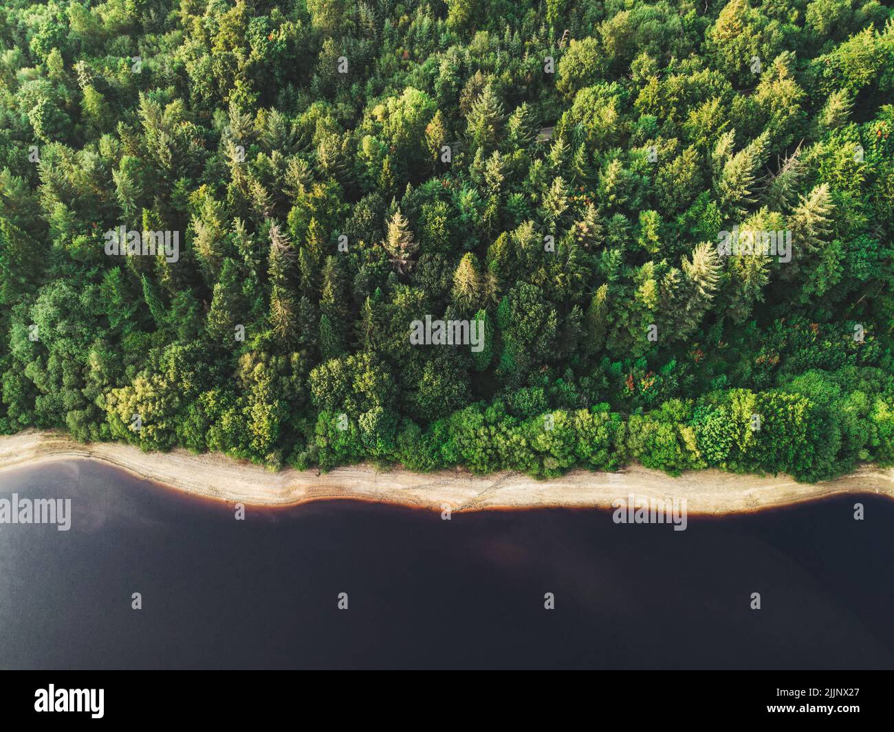 A bird's eye view of green dense forest at Broomhead Reservoir Stock ...
