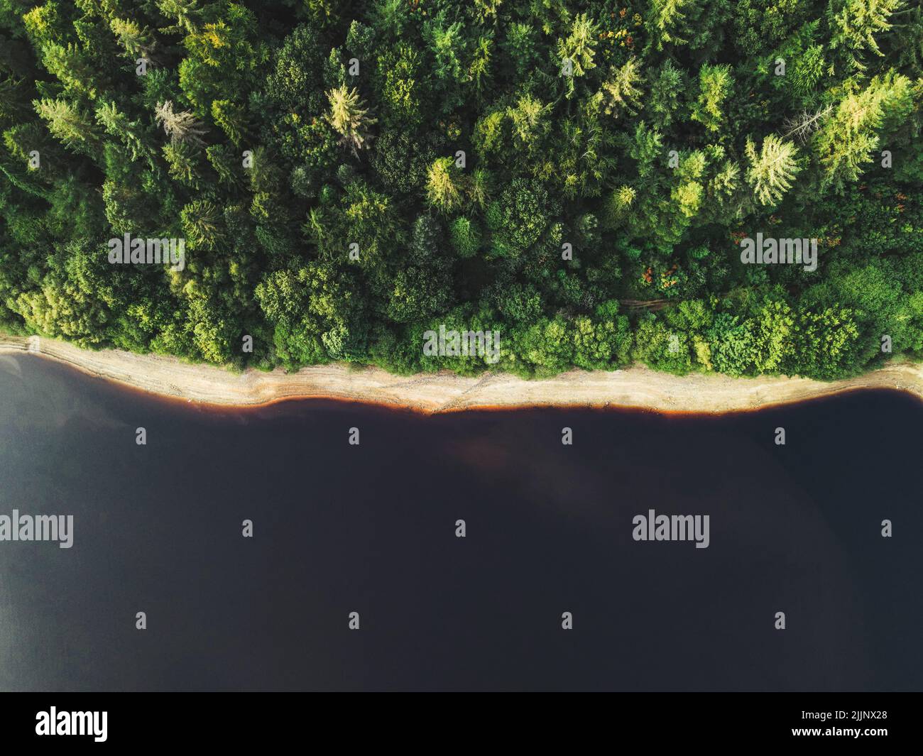 A bird's eye view of green dense forest at Broomhead Reservoir Stock ...