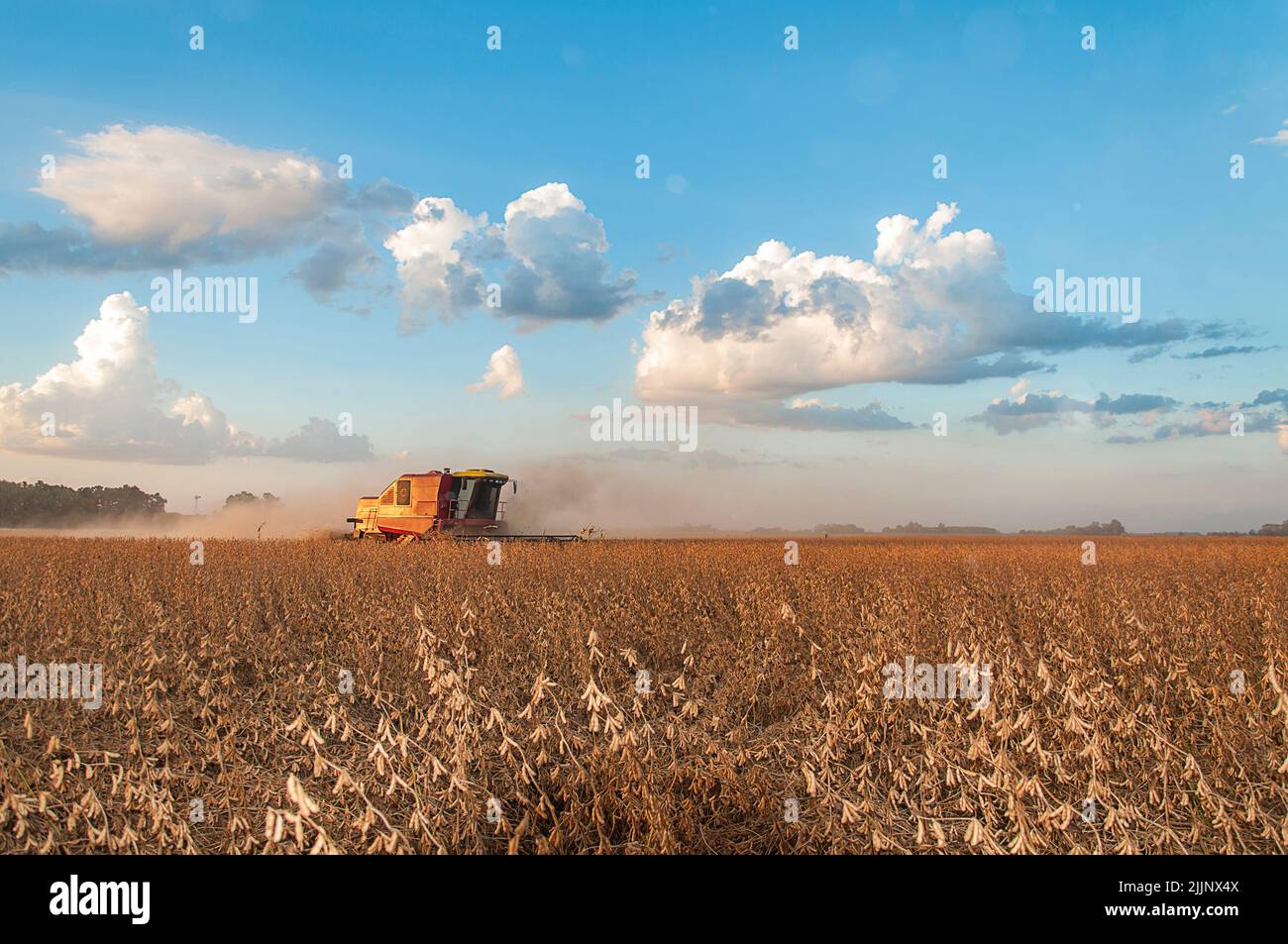Combine harvester working in the field on a sunny day Stock Photo - Alamy
