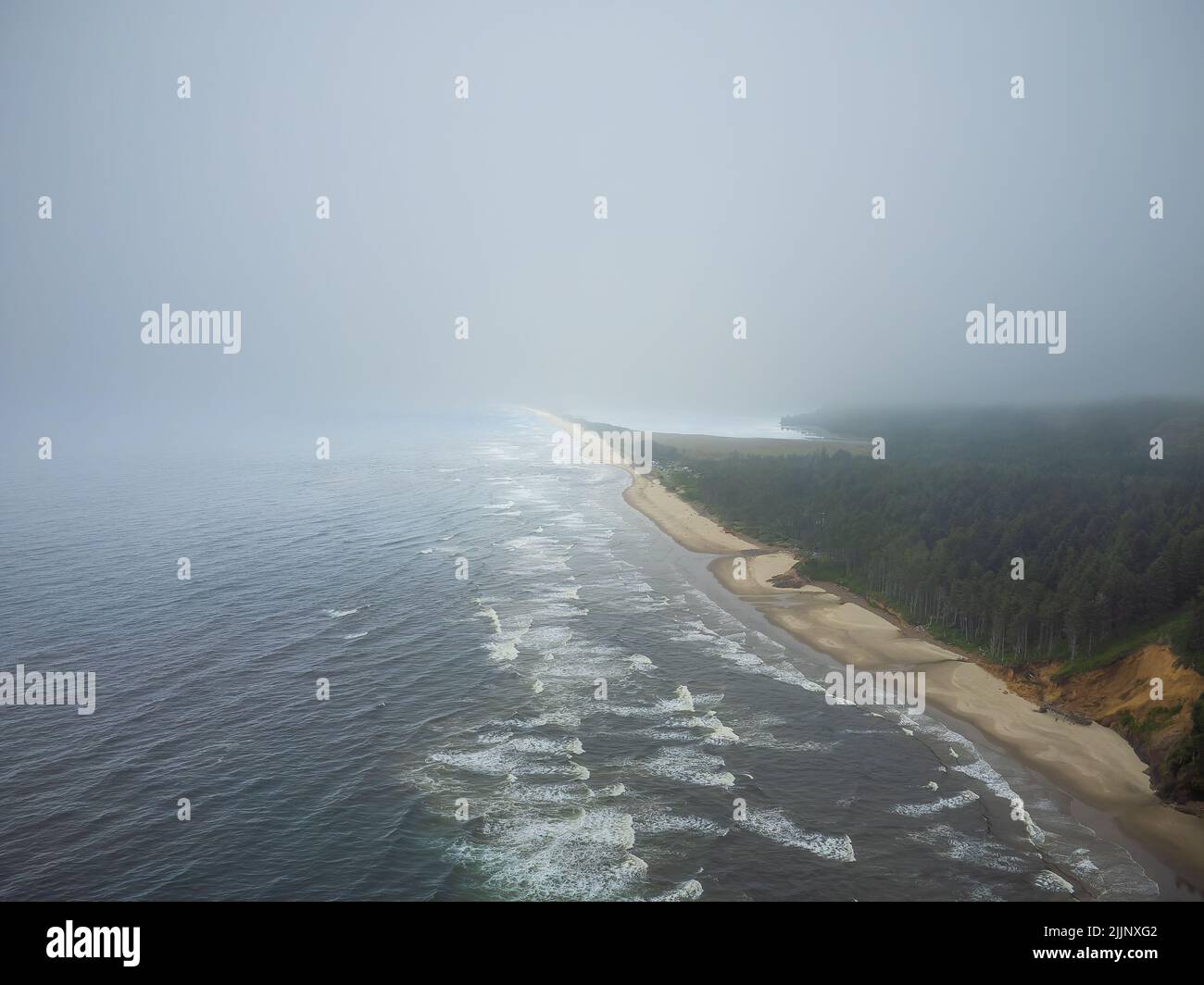 Seascape. Shooting from a drone. Long sandy ocean shore and green grass ...