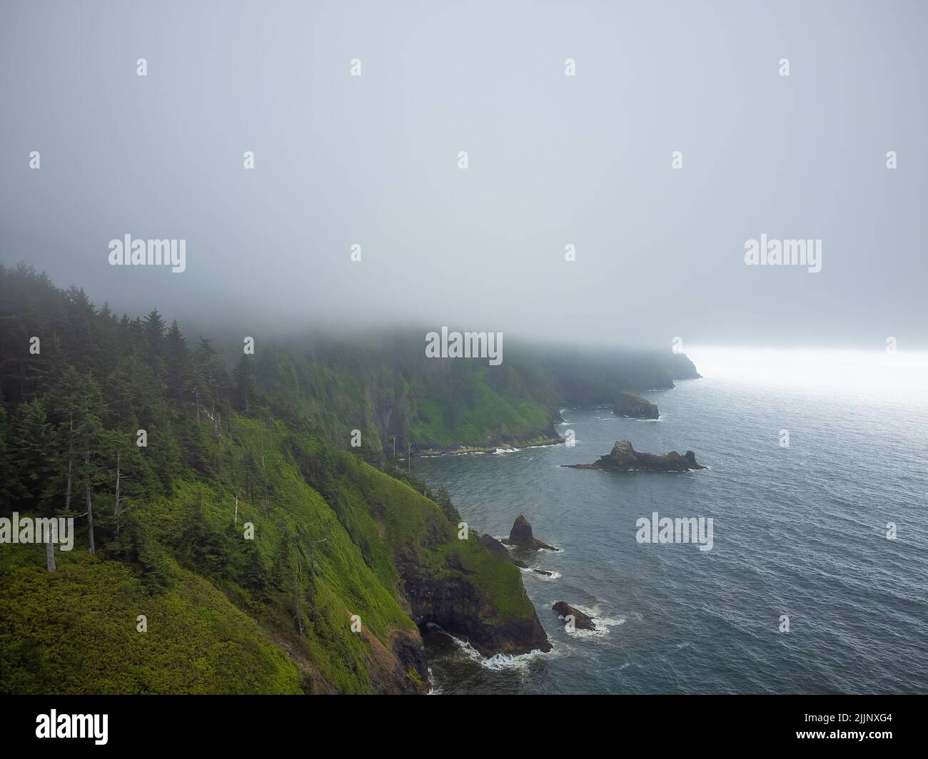 Beautiful seascape. Hilly green coast of the ocean, overgrown with ...
