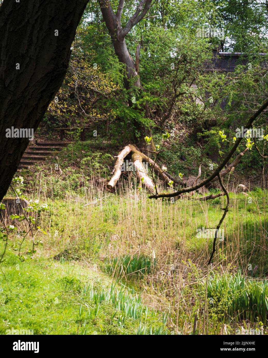 Old park hi-res stock photography and images - Alamy
