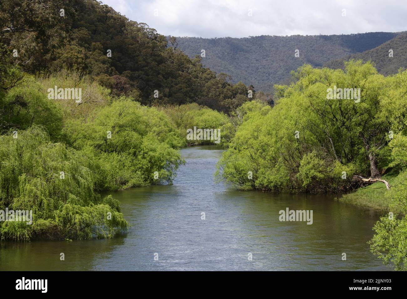 Mitta mitta river hi-res stock photography and images - Alamy