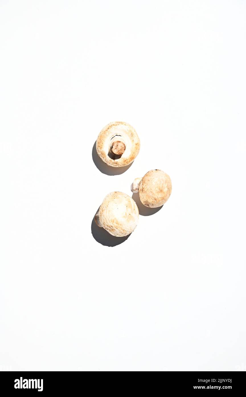 Raw mushrooms champignons, isolated on a white background with copy ...