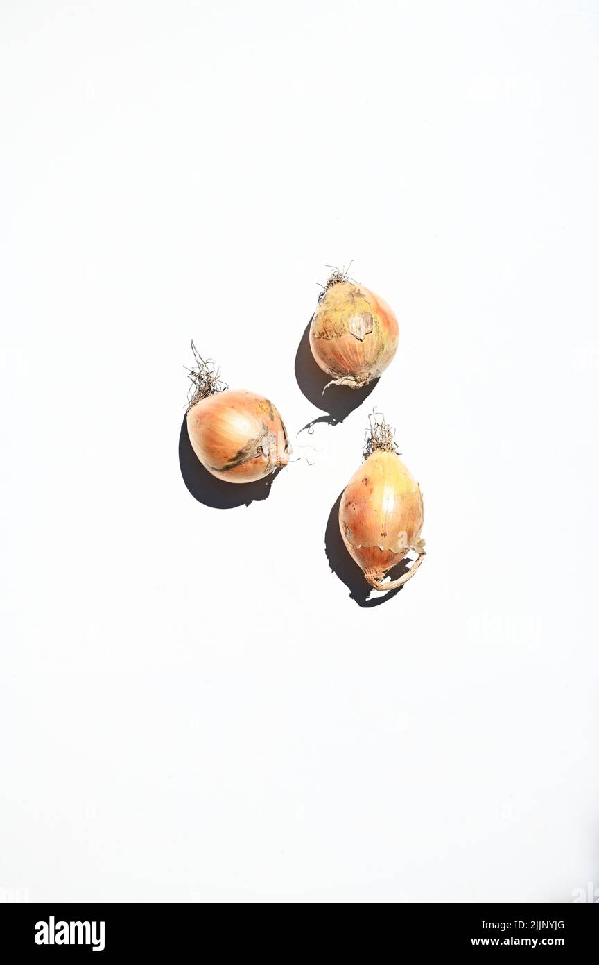 Flay lay. Onions, isolated on white background. Copy ad space for text ...