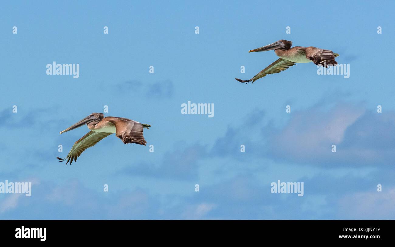 Two water landscapes hi-res stock photography and images - Alamy