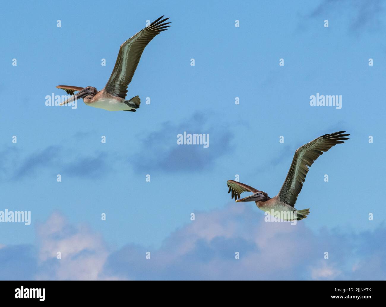 Two water landscapes hi-res stock photography and images - Alamy