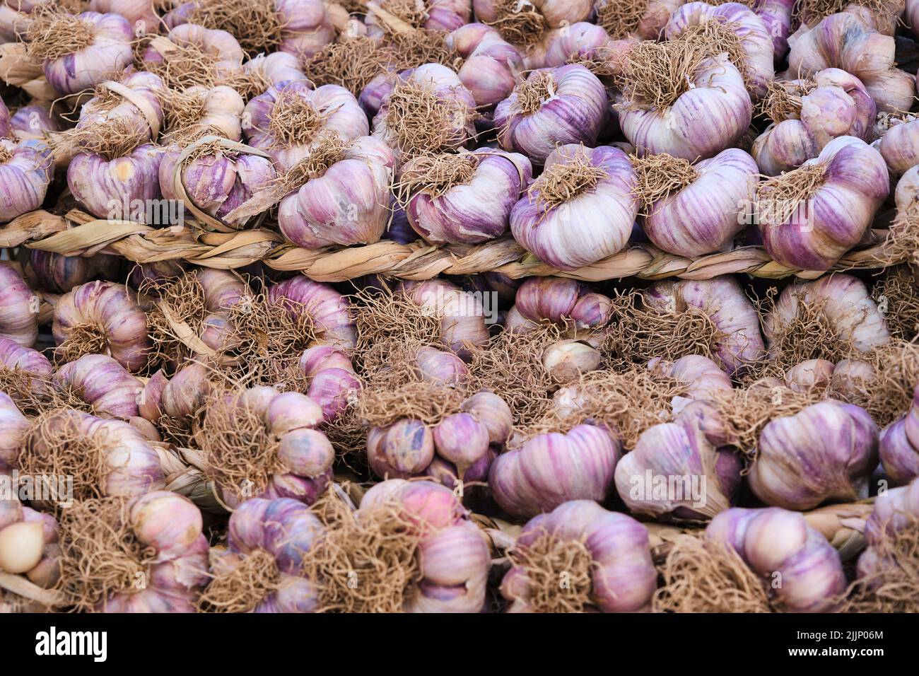 Full fame textured background of heap of ripe unpeeled garlic placed on ...