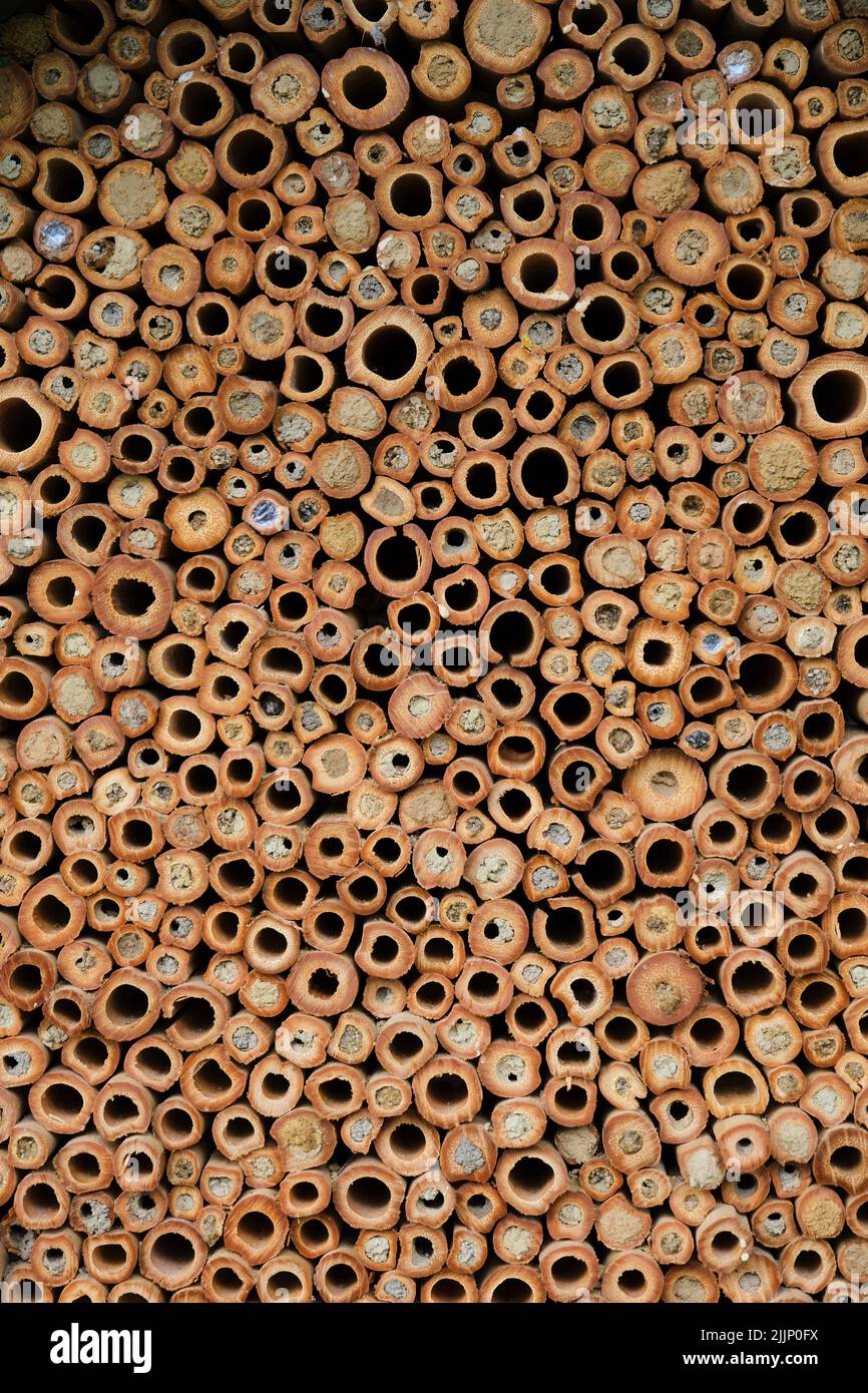 Bamboo shelter hi-res stock photography and images - Alamy