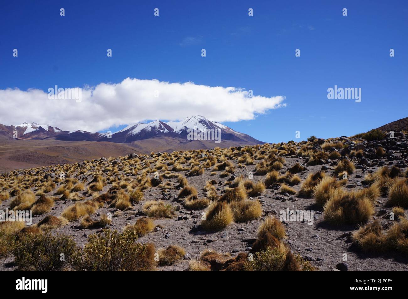 pure highlands in bolivia Stock Photo - Alamy