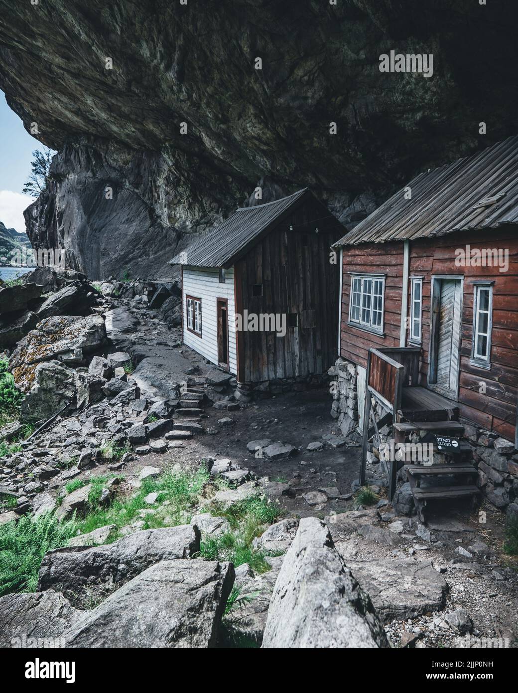 Life under rocks hi-res stock photography and images - Alamy