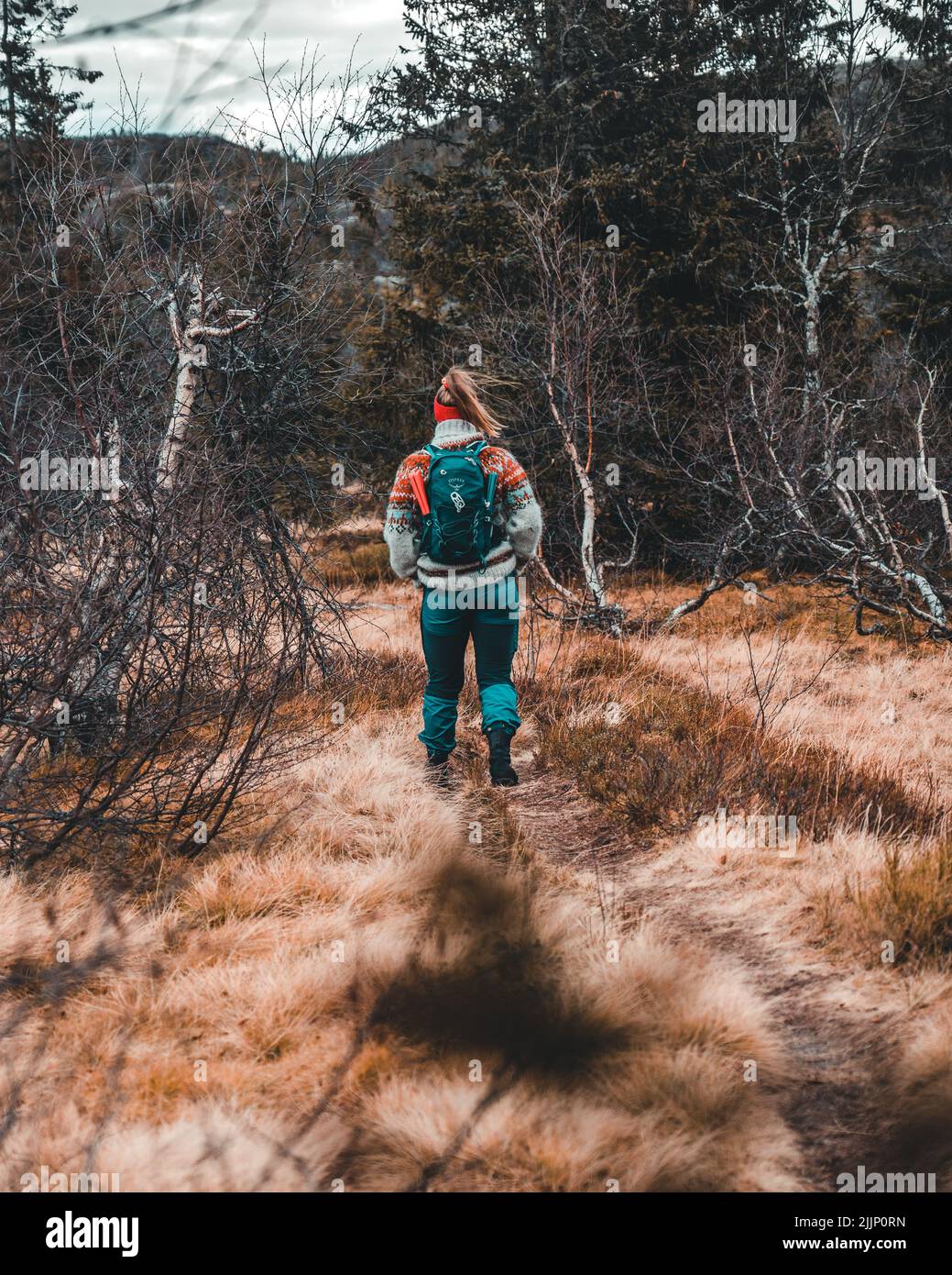A girl walking trekking and hiking on Mountain in Norway with fall ...