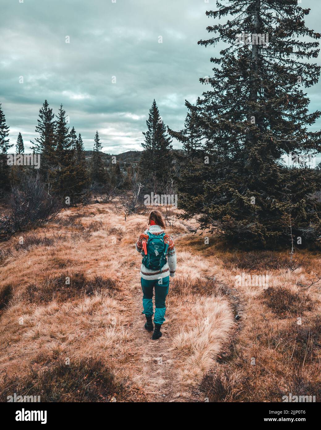 A girl walking trekking and hiking on Mountain in Norway with fall ...