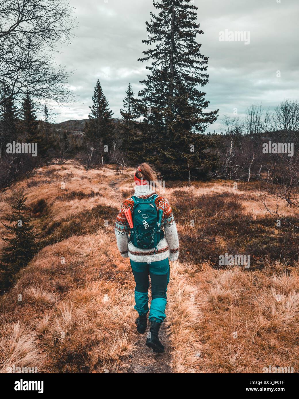 A girl walking trekking and hiking on Mountain in Norway with fall ...