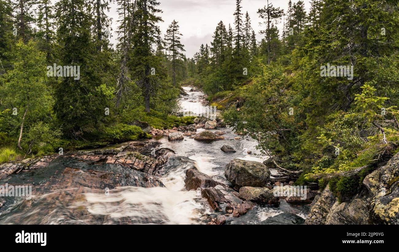 Shot river going through hi-res stock photography and images - Alamy