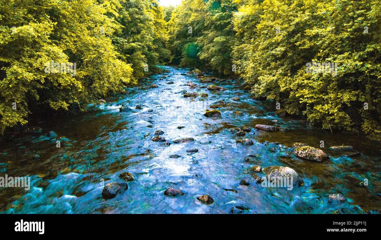 A beautiful scenery of the shallow rocky river surrounded by thick ...