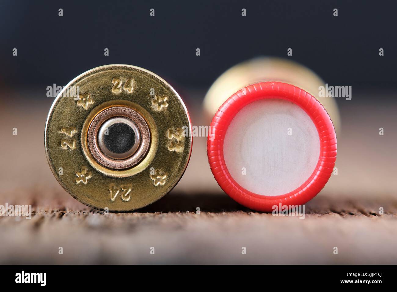 24 Gauge Shotgun Shells