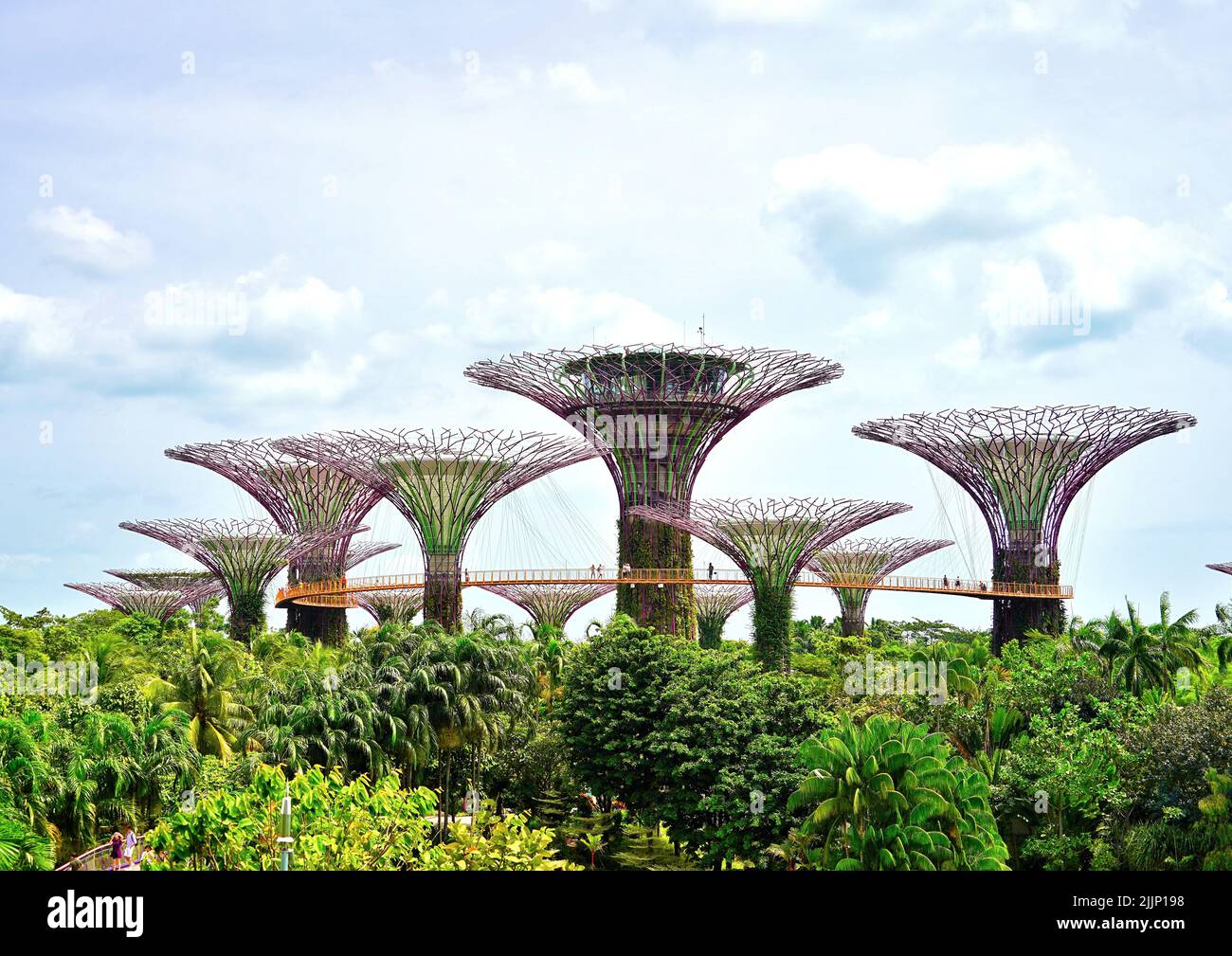An aerial shot of the abstract structures at the Marina Bay Supertree ...