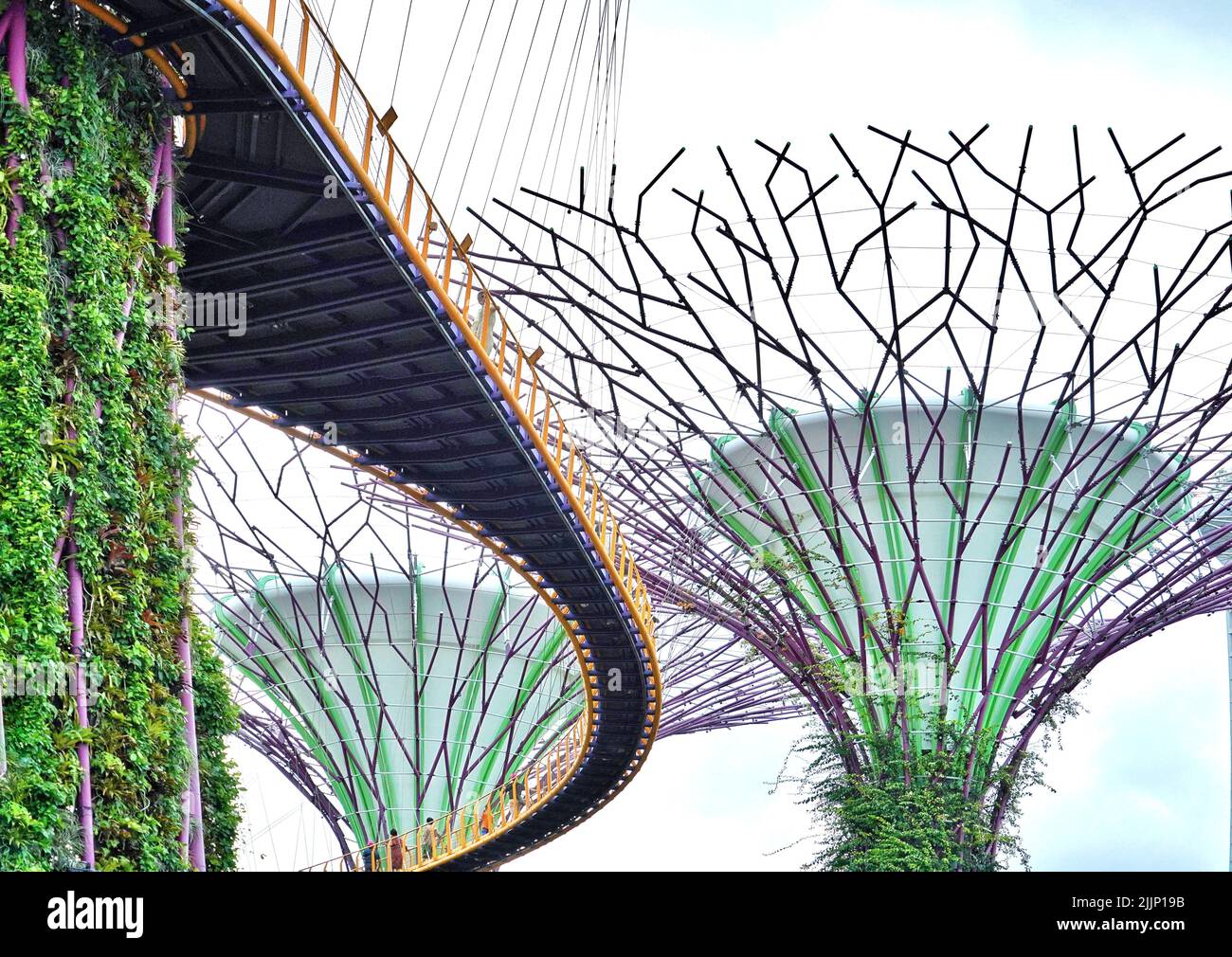 A low angle shot of the colorful trees of the Singapore Marina Bay ...