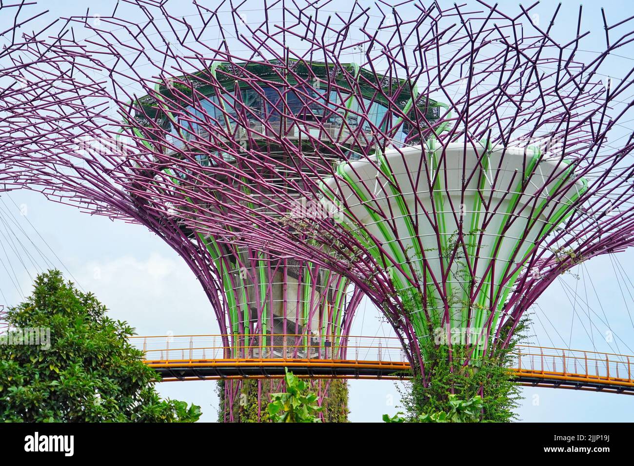 A summer day at the Singapore Marina Bay Supertree with the abstract ...