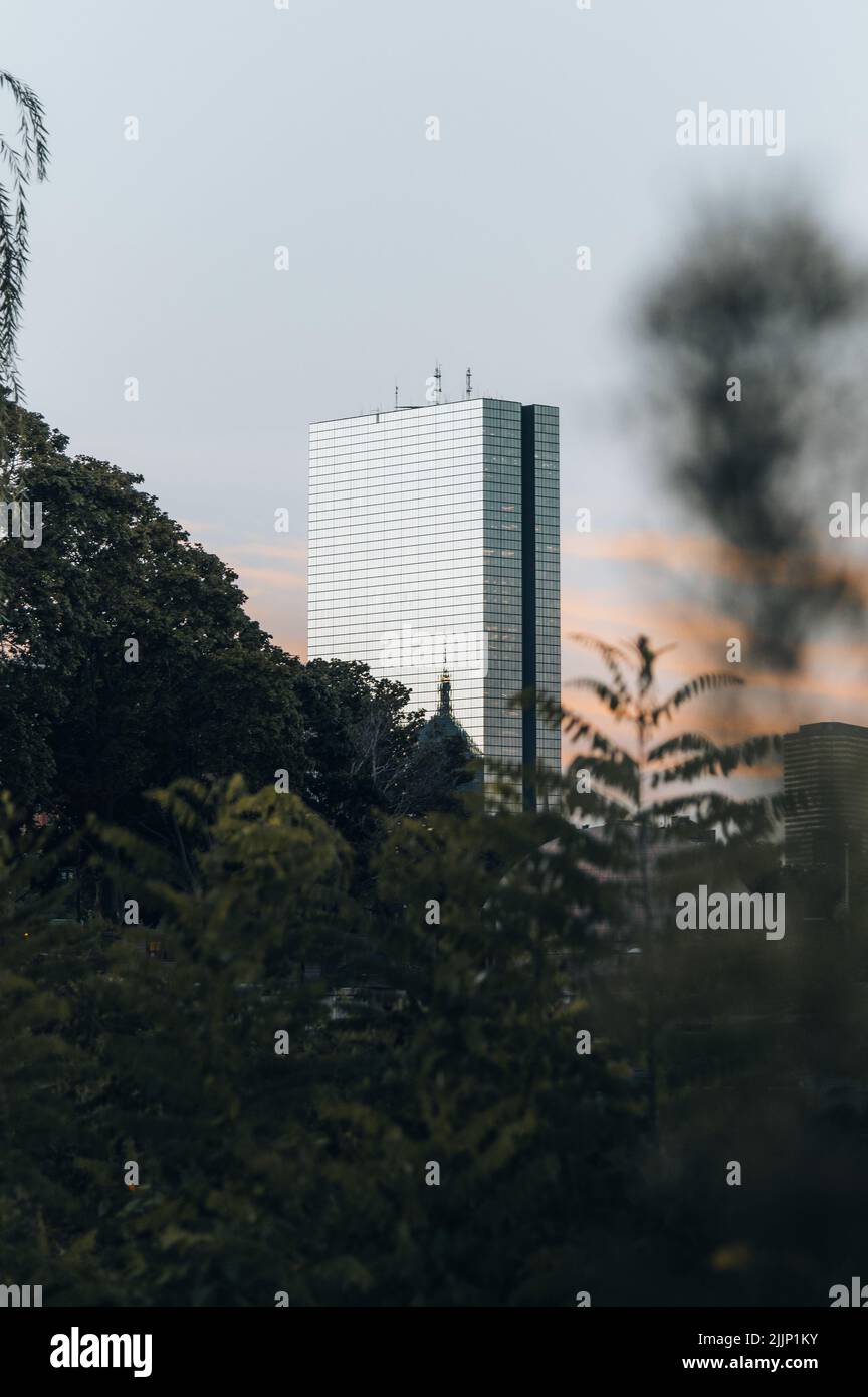 vertical shot of white glass building behind of forest and trees in ...