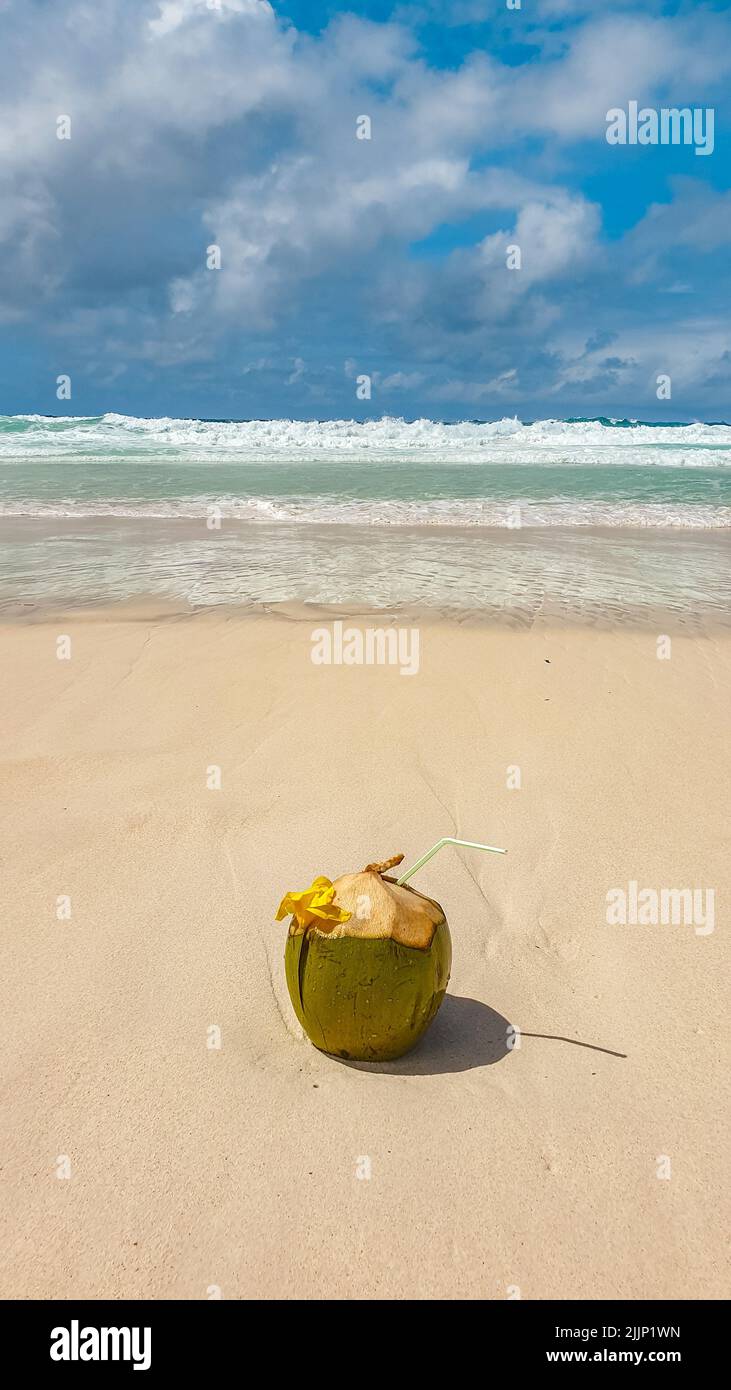 A vertical shot of a cocktail made in a coconut at a beach with the ...