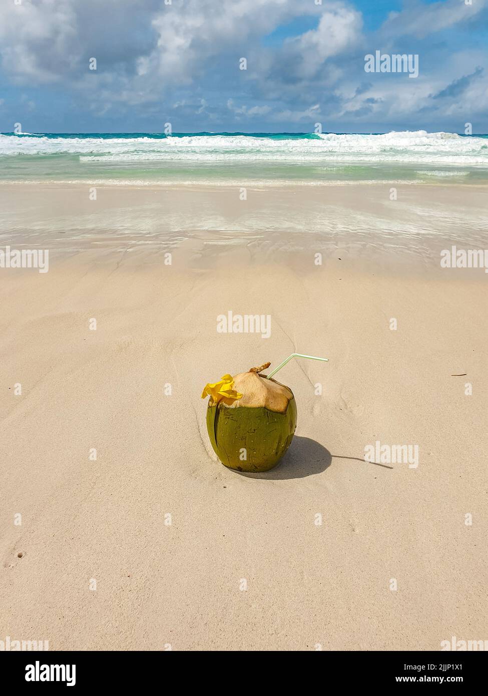 A vertical shot of a cocktail made in a coconut at a beach with the ...