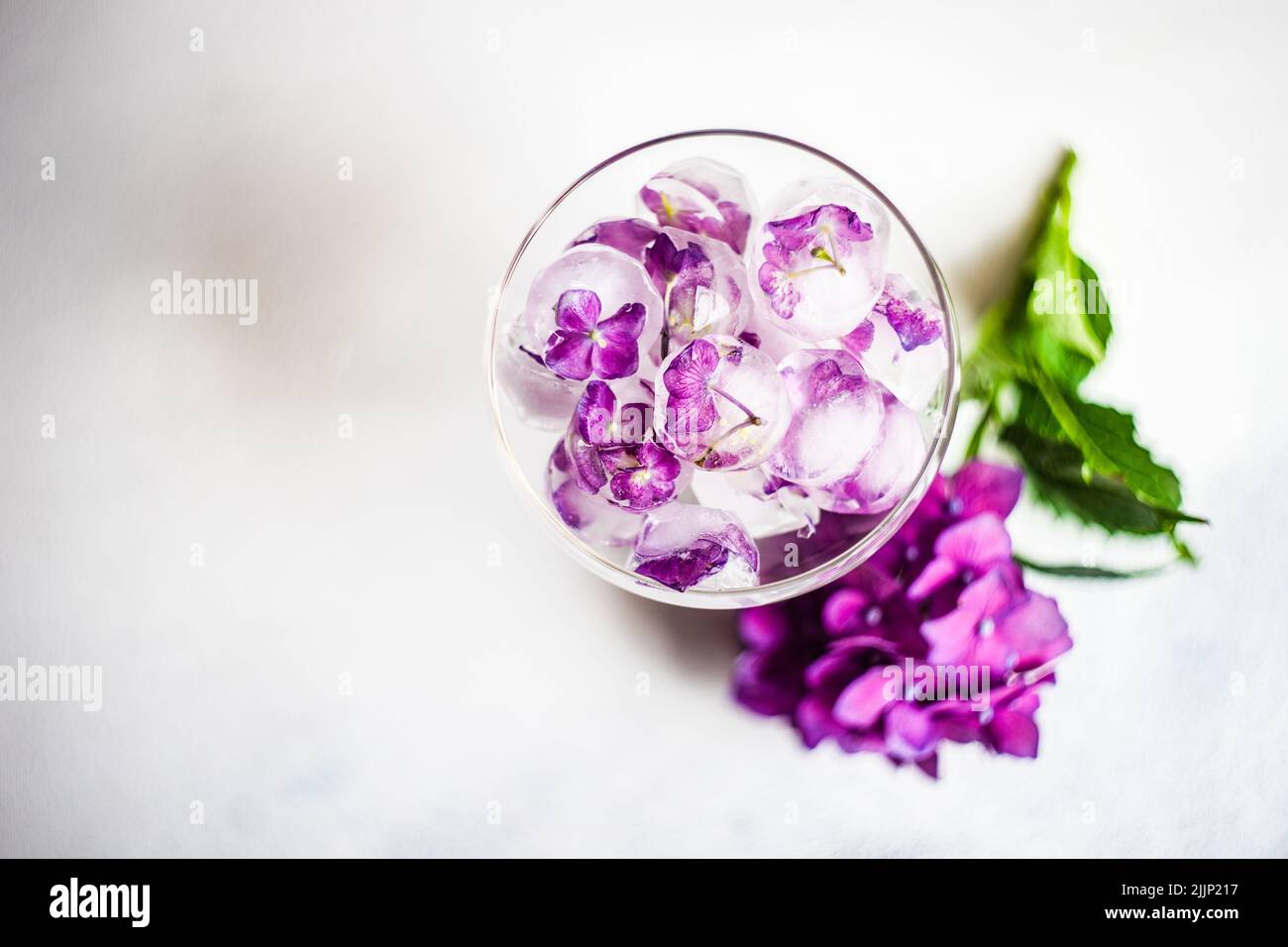 Overhead view of champagne coupe glass filled with hydrangea flower ice ...