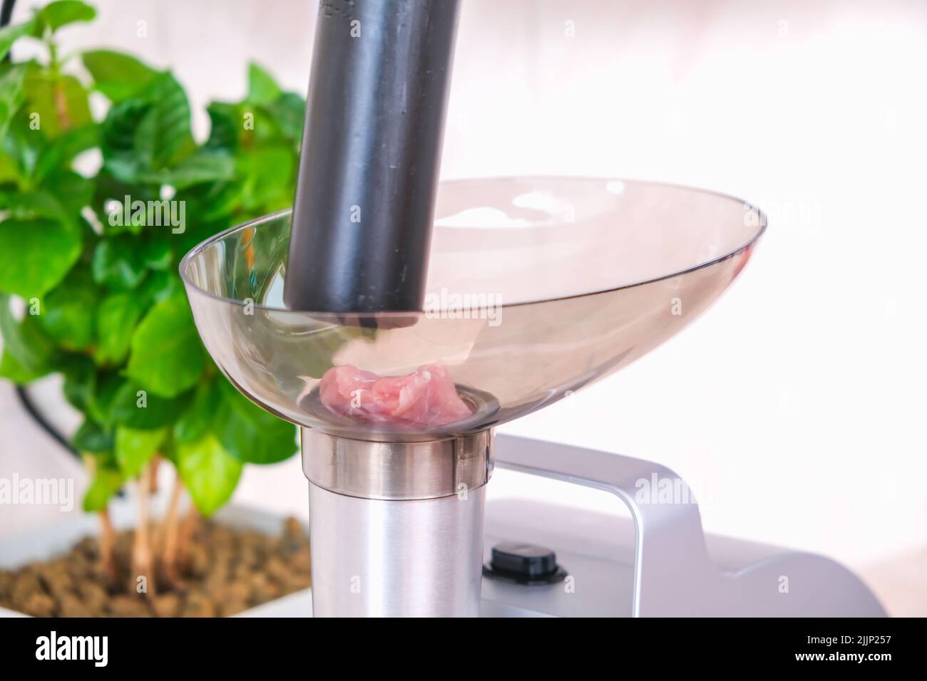 A man puts a piece of meat into an electric meat grinder. Preparation ...
