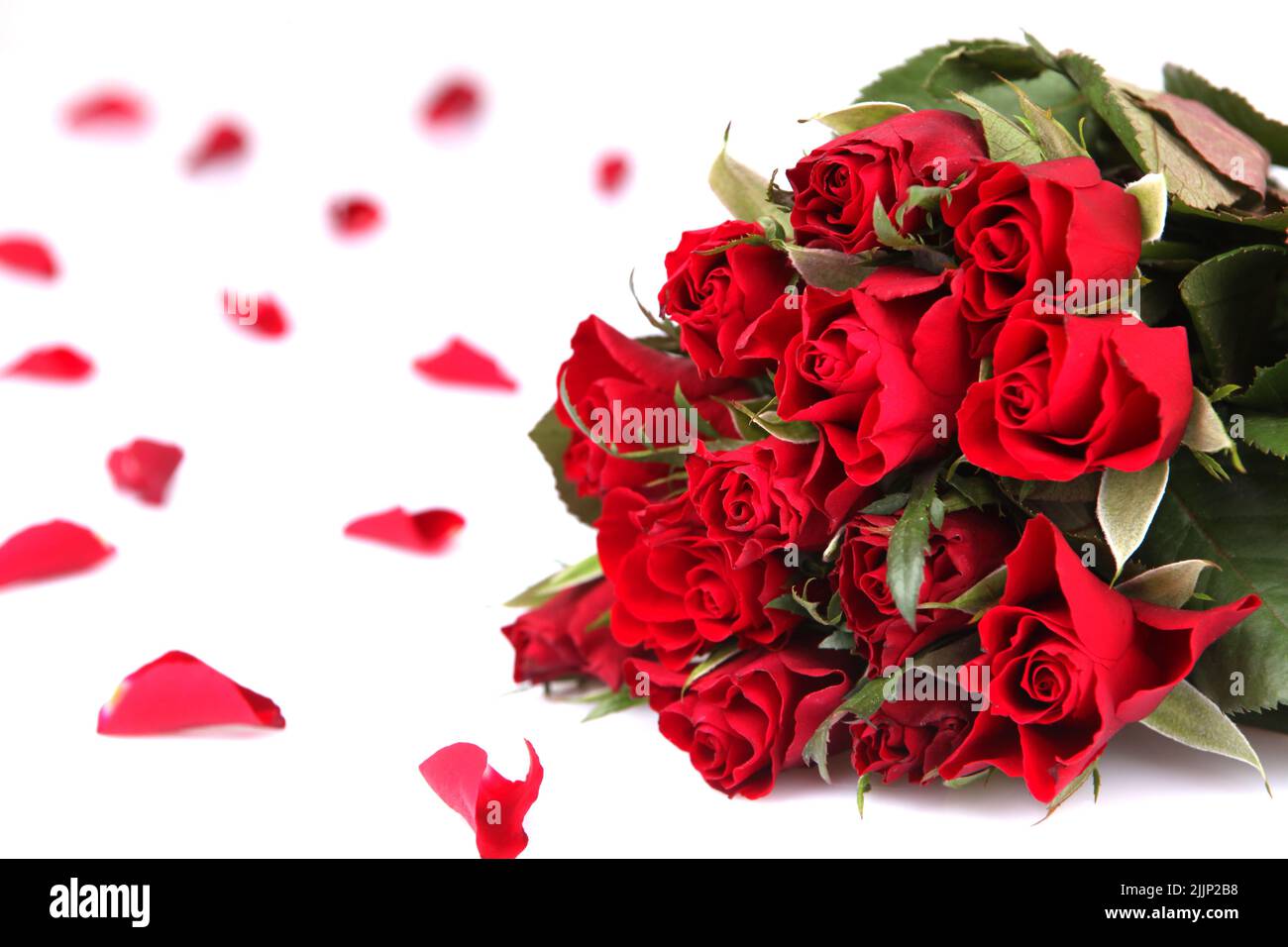 A beautiful bouquet of red roses isolated on a white background Stock ...