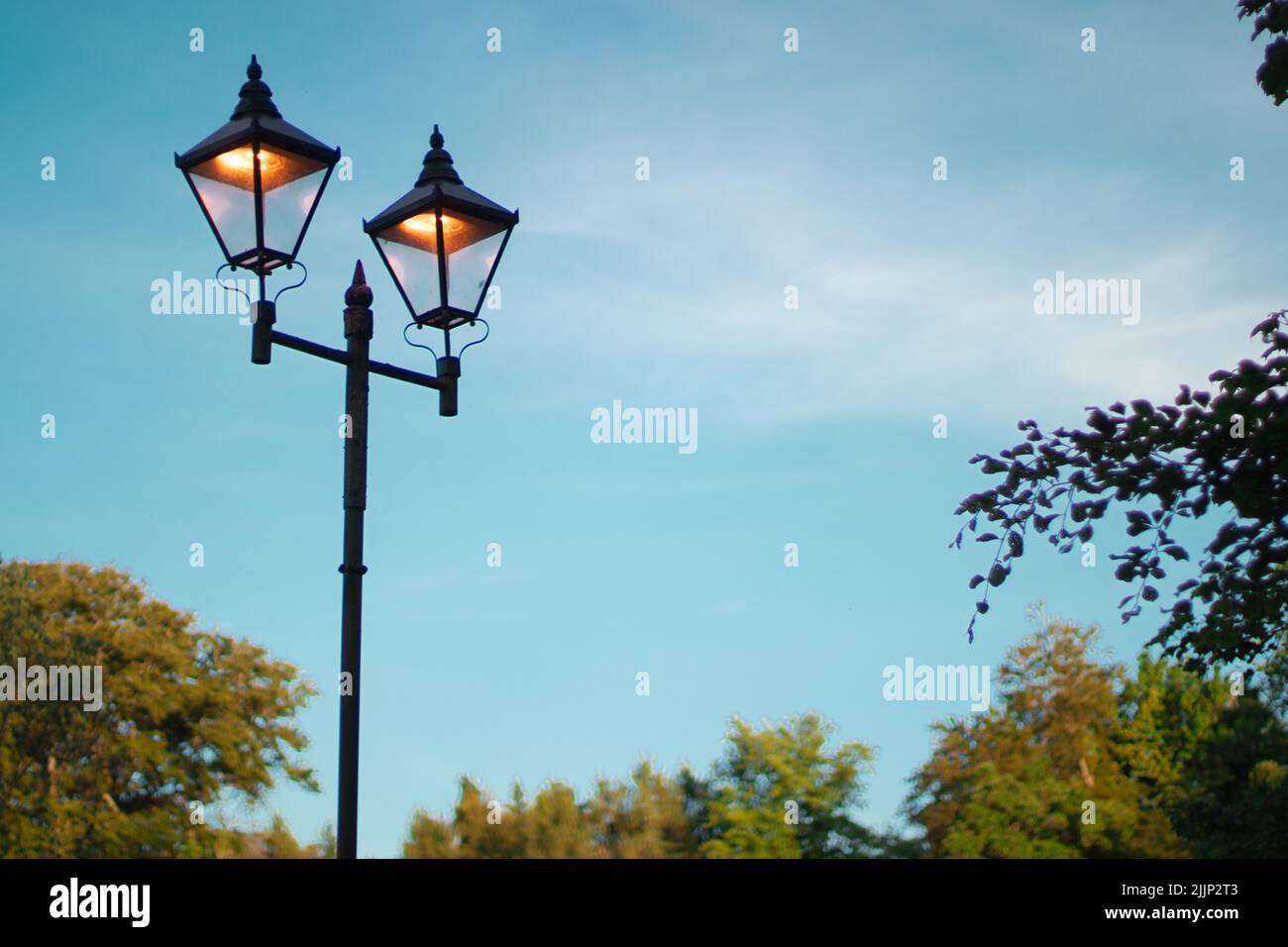 A street light photograph with blue background and tree Stock Photo - Alamy