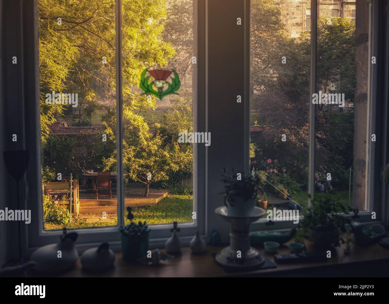 Indoor plants window hi-res stock photography and images - Alamy