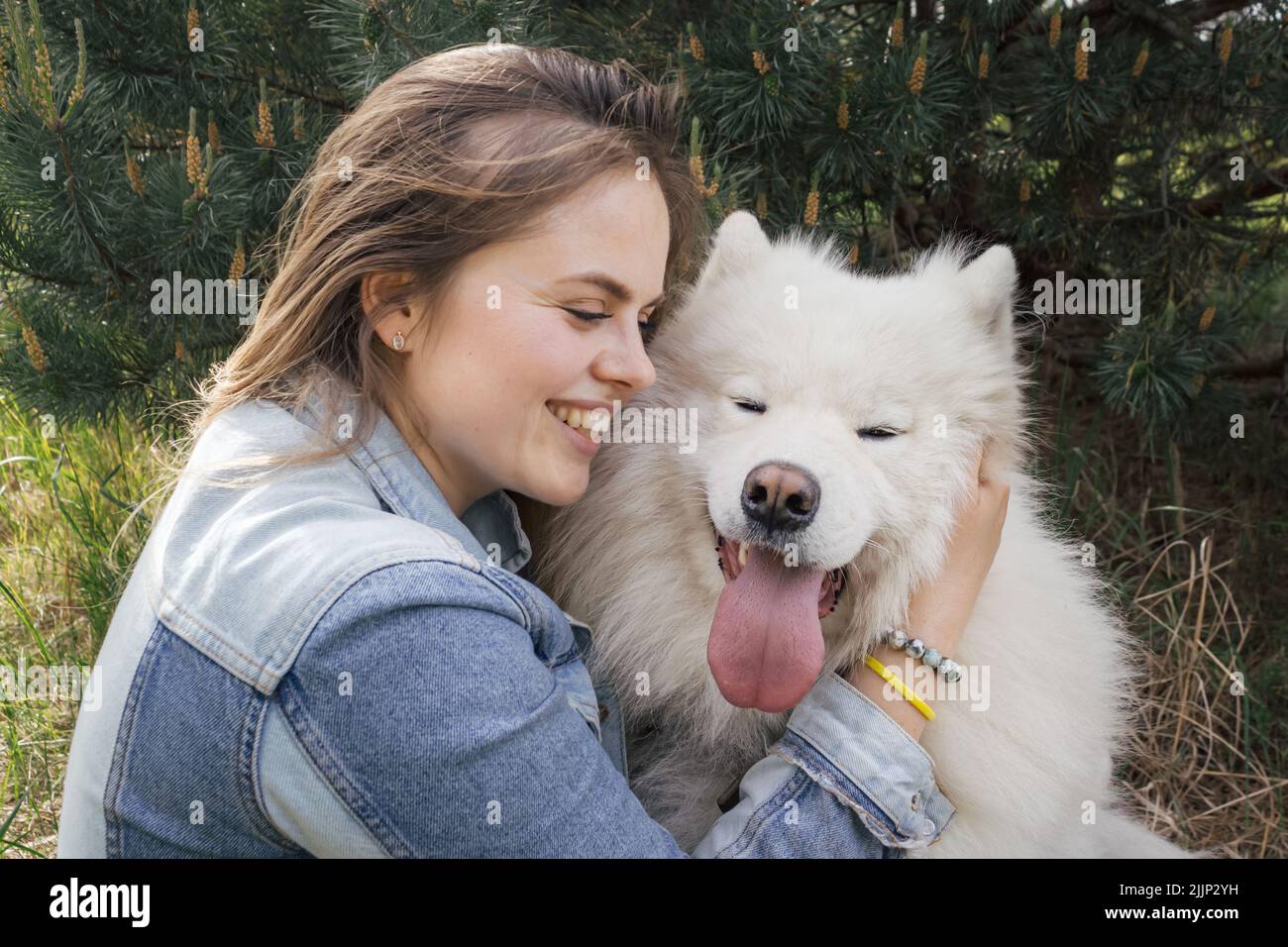 Portrait female samoyed dog hi-res stock photography and images - Alamy