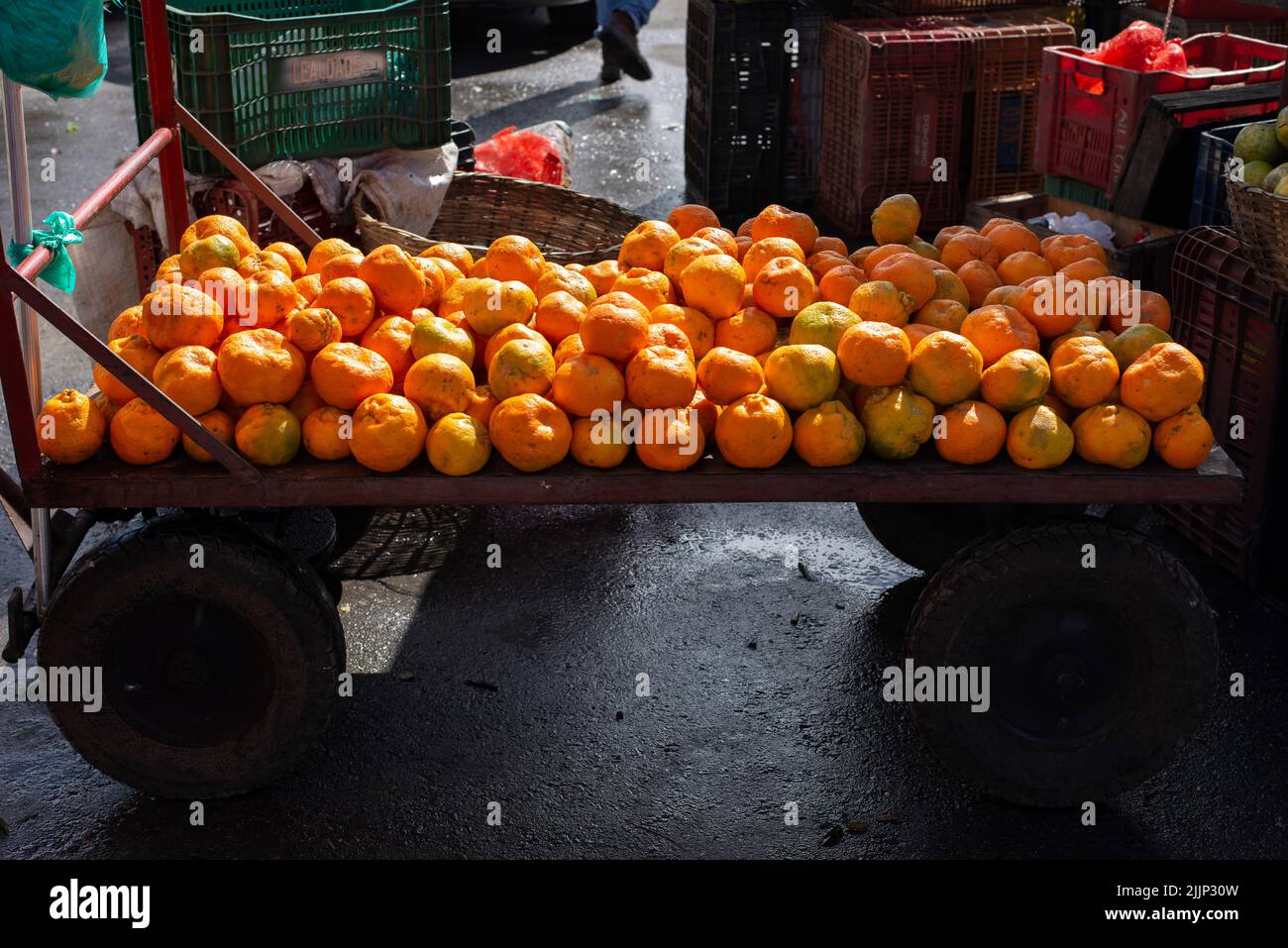 A cart full of oranges for sale at Sao Joaquim fair in Salvador, Bahia ...
