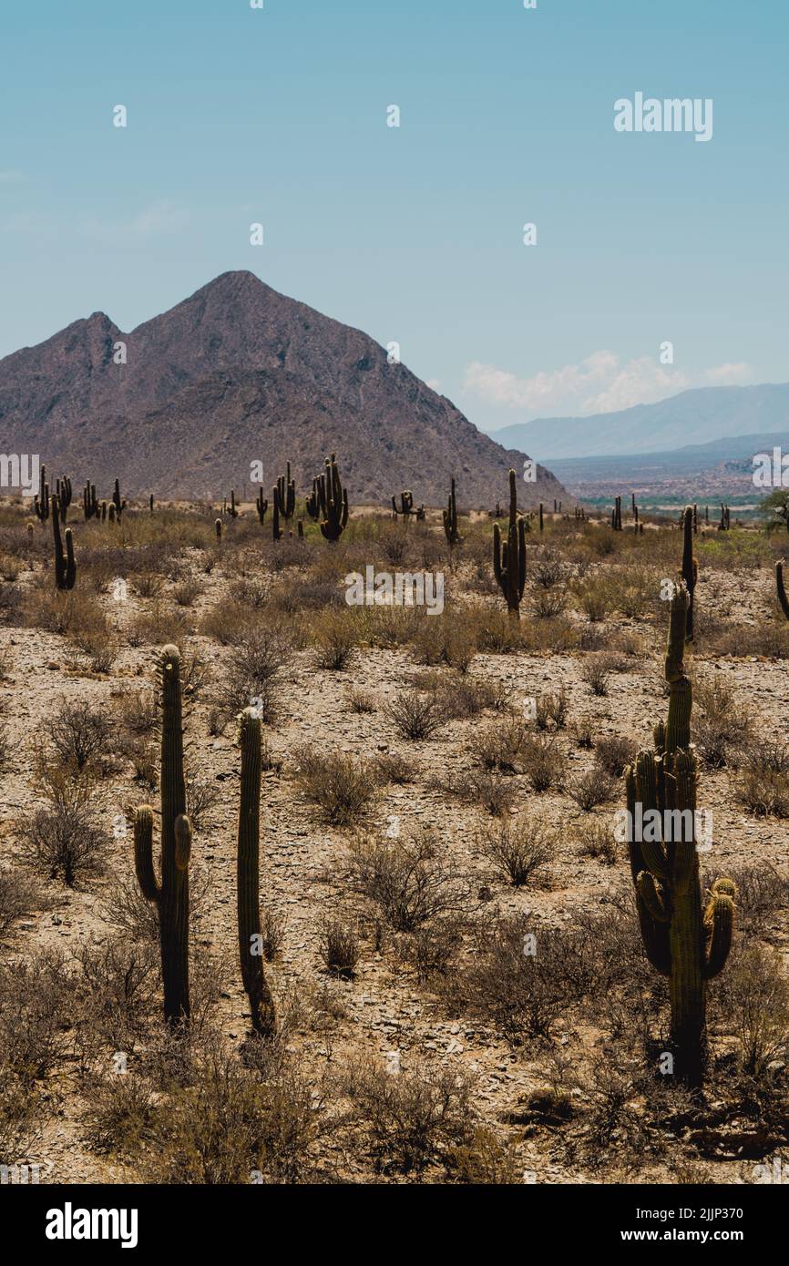 Southeastern arizona hi-res stock photography and images - Alamy