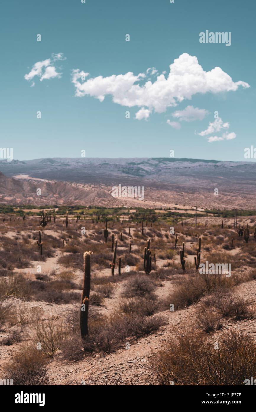 Southeastern arizona hi-res stock photography and images - Alamy