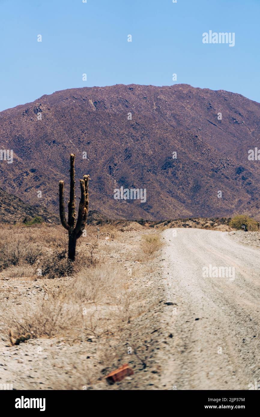 Pima county park hi-res stock photography and images - Alamy