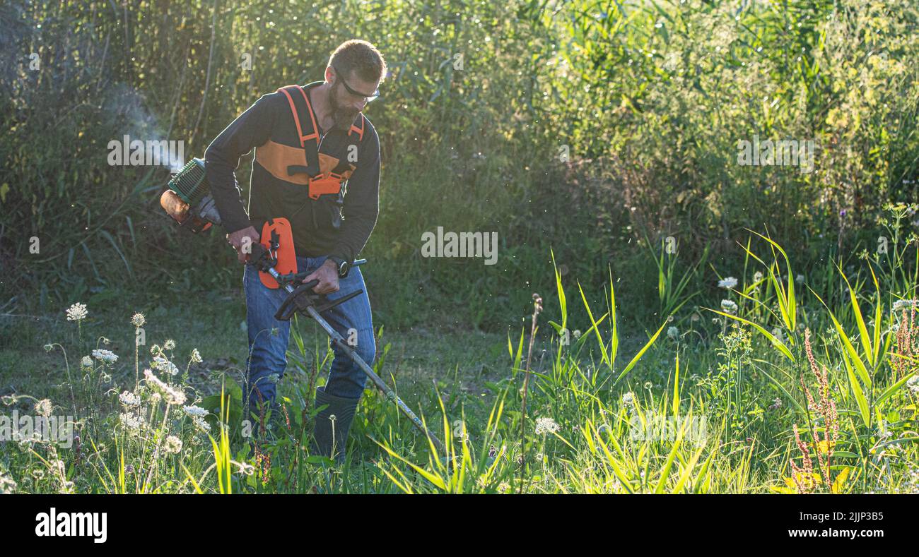 man trimming weed with weed trimmer in summer Stock Photo - Alamy