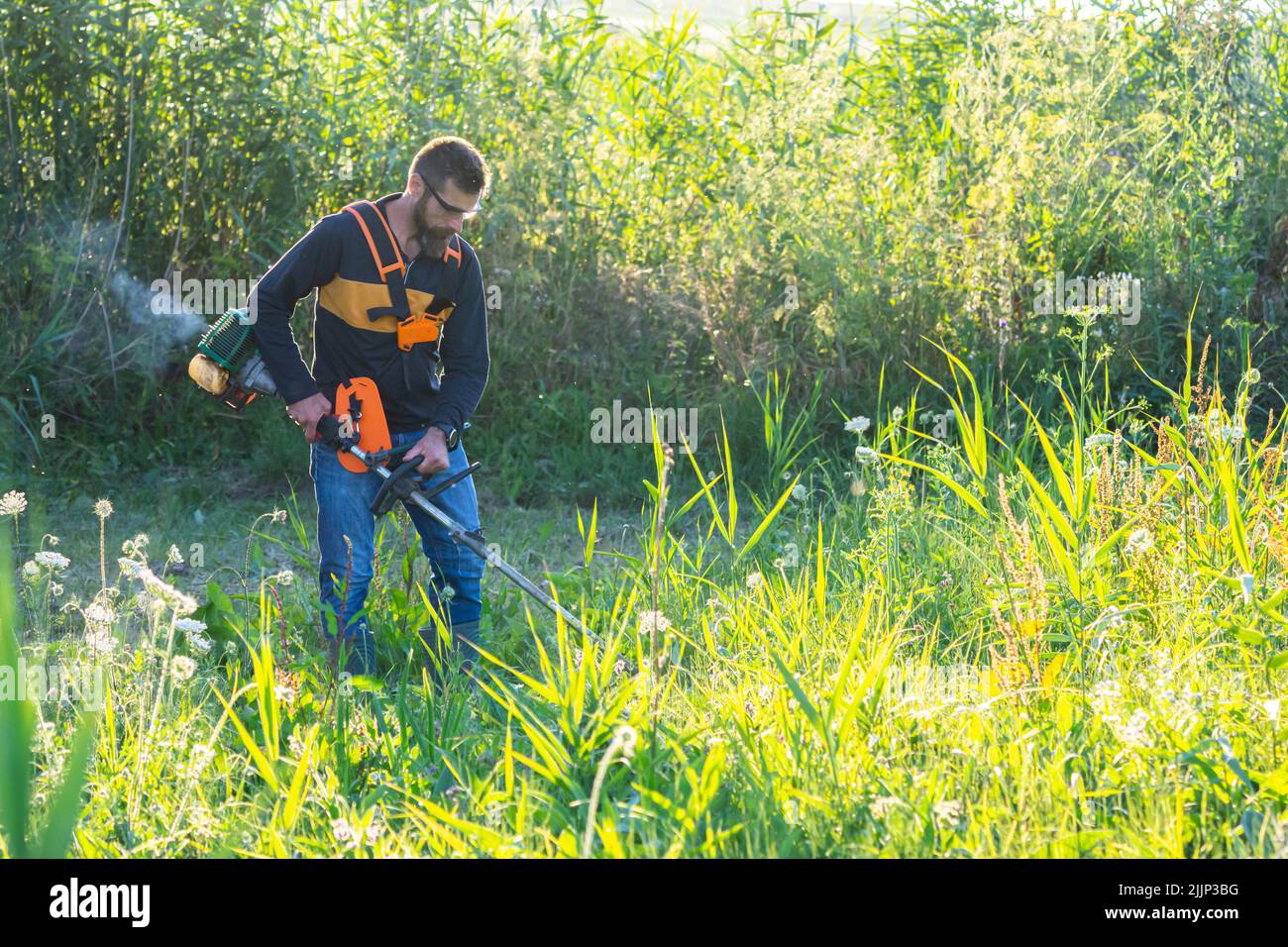 man trimming weed with weed trimmer in summer Stock Photo - Alamy