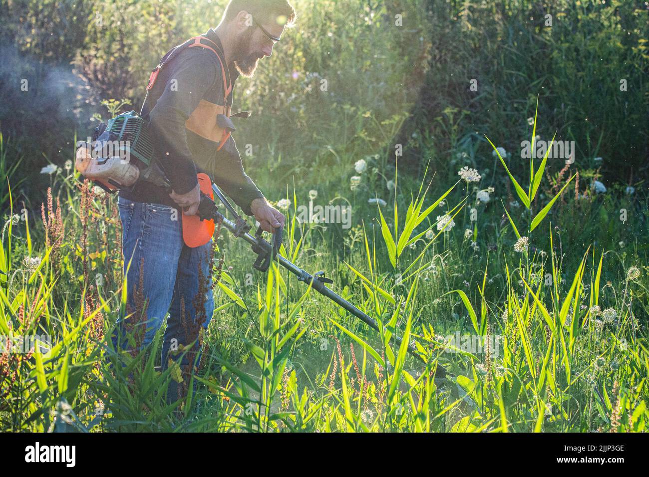 man trimming weed with weed trimmer in summer Stock Photo - Alamy