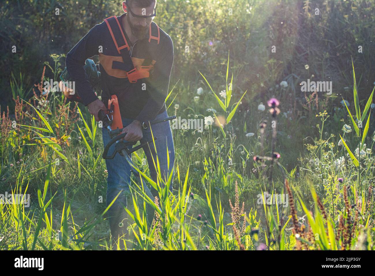 man trimming weed with weed trimmer in summer Stock Photo - Alamy