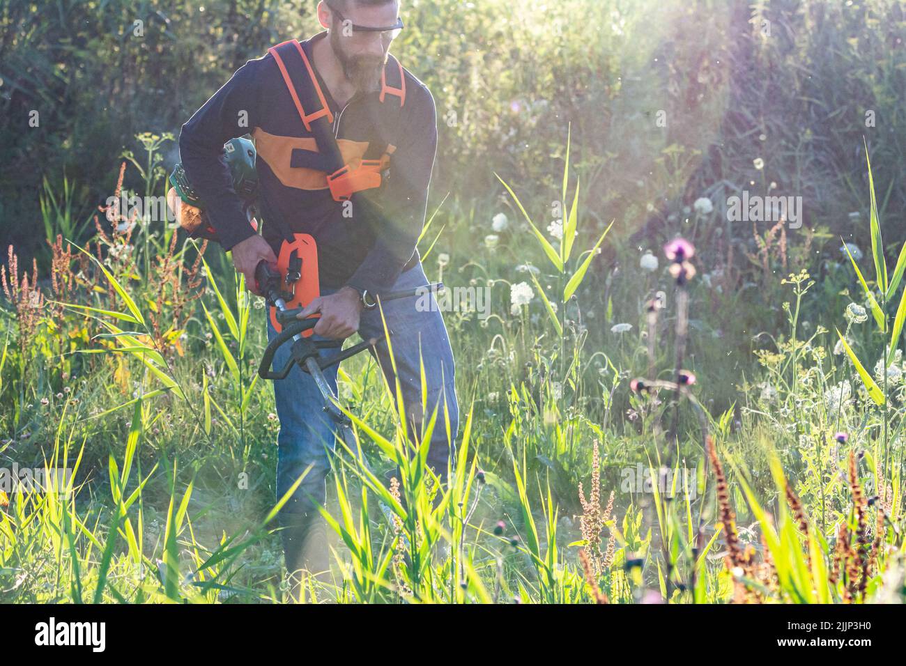 man trimming weed with weed trimmer in summer Stock Photo - Alamy