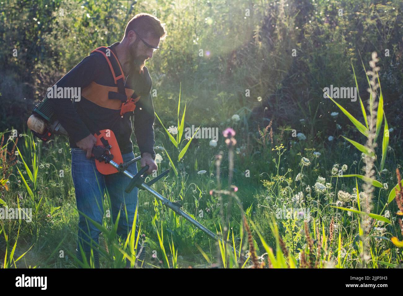 man trimming weed with weed trimmer in summer Stock Photo - Alamy