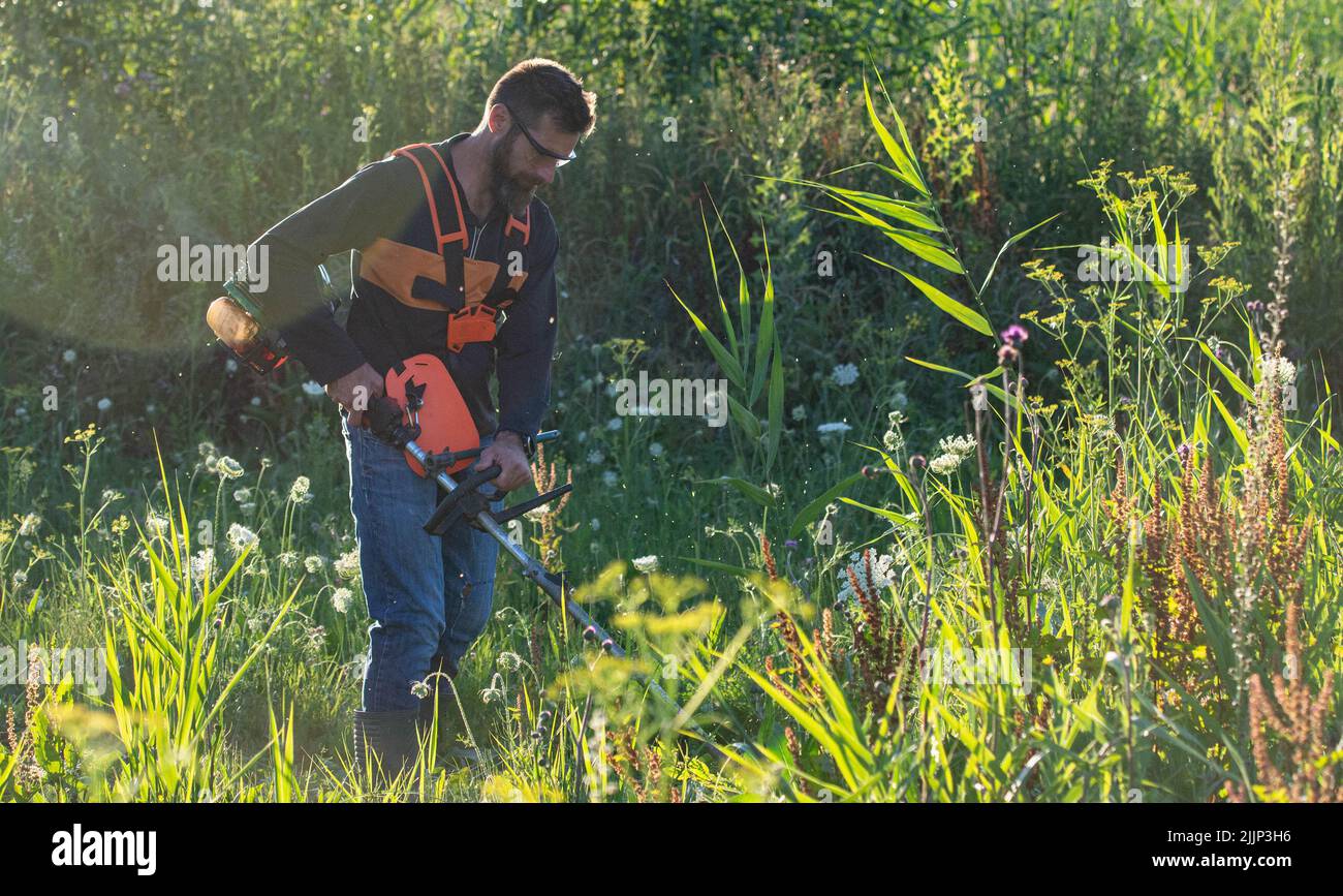 man trimming weed with weed trimmer in summer Stock Photo - Alamy