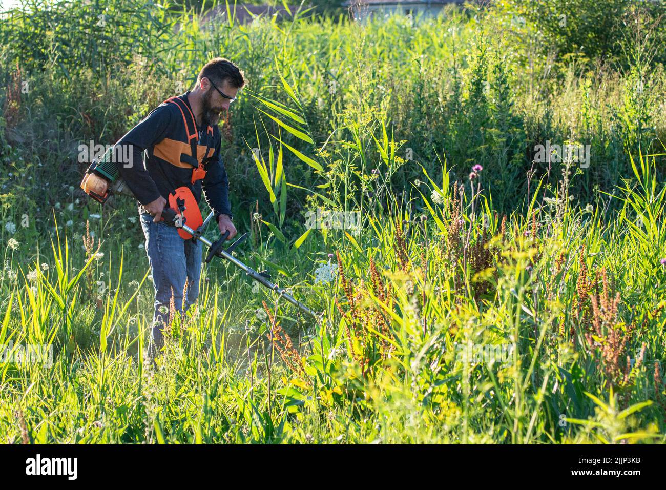 man trimming weed with weed trimmer in summer Stock Photo - Alamy