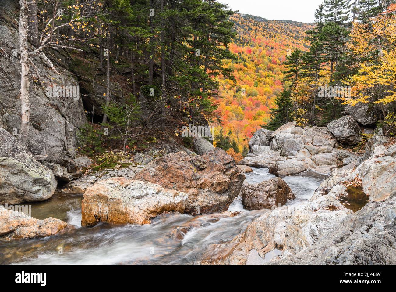 View of fast flowing mountain creek with stunning fall foliage in ...