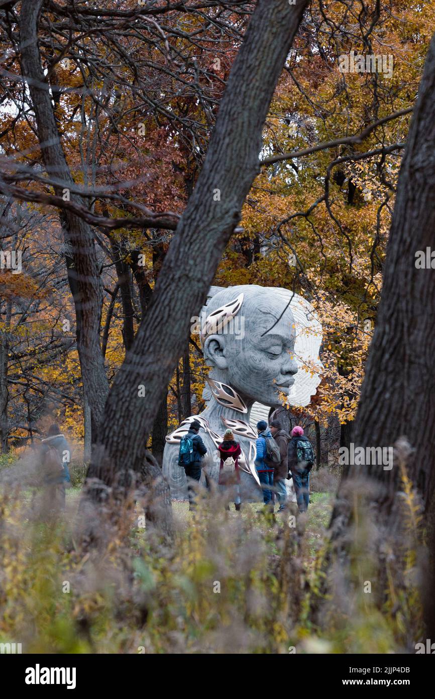 Human trees hi-res stock photography and images - Alamy