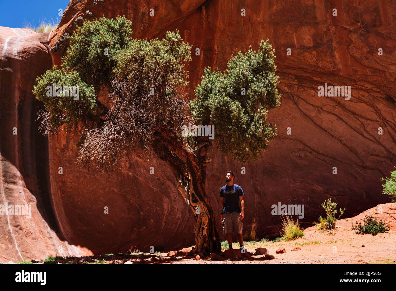 Man standing near tree hi-res stock photography and images - Alamy